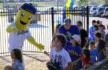 DubSea Fish Sticks deliver more than a baseball game – PIL Baseball